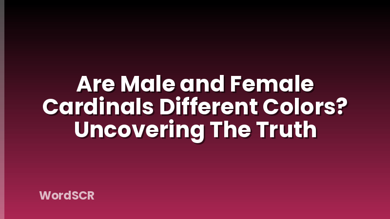 Are Male And Female Cardinals Different Colors? Uncovering The Truth ...