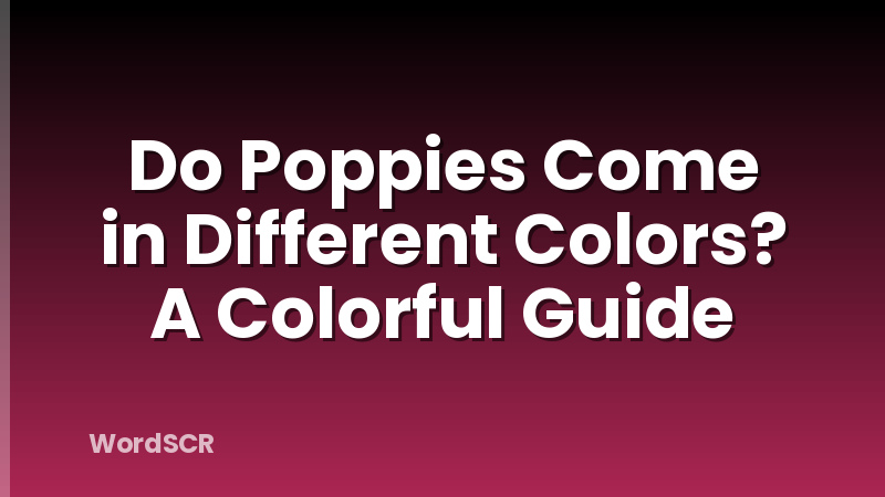 Do Poppies Come In Different Colors? A Colorful Guide | WordSCR