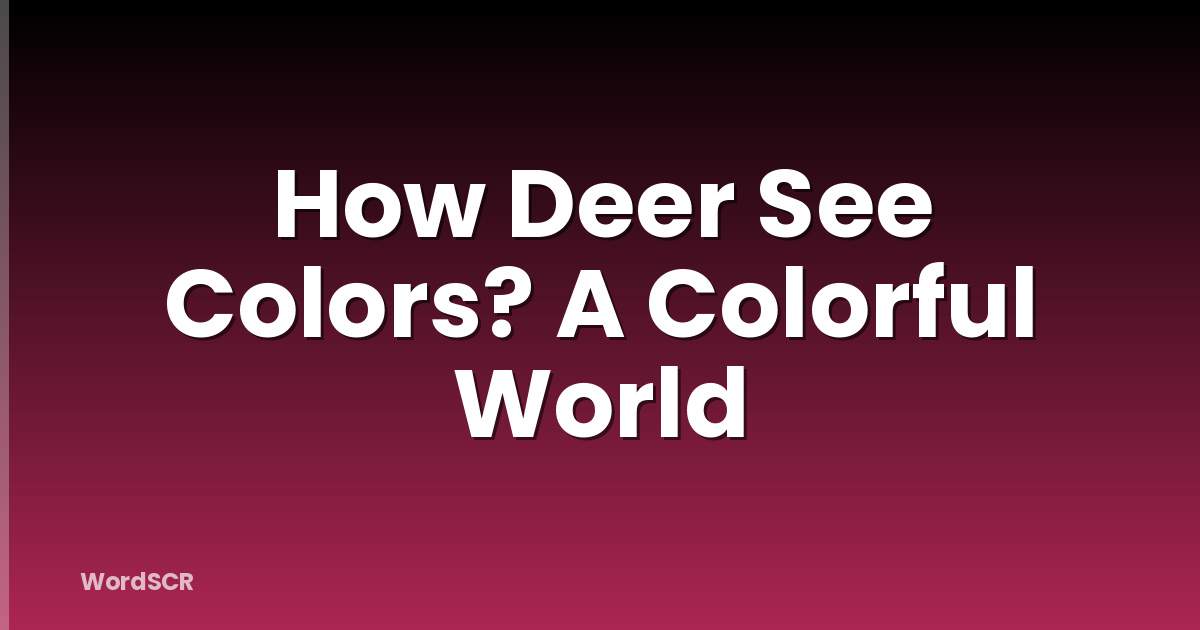 What's It Called When Two Colors Blend Together? - Discover Color ...