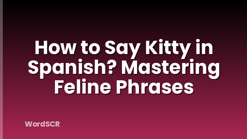 How To Say Kitty In Spanish? Mastering Feline Phrases | WordSCR