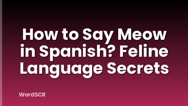 How To Say Meow In Spanish? Feline Language Secrets | WordSCR