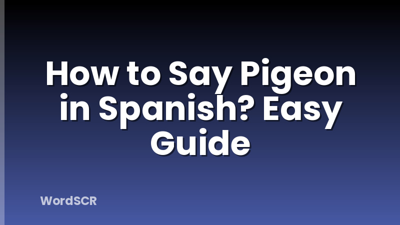 How To Say Pigeon In Spanish? Easy Guide | WordSCR