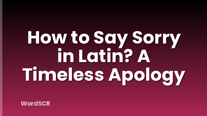 How To Say Sorry In Latin? A Timeless Apology | WordSCR