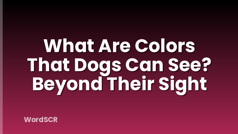 What Are Colors That Dogs Can See? Beyond Their Sight | WordSCR