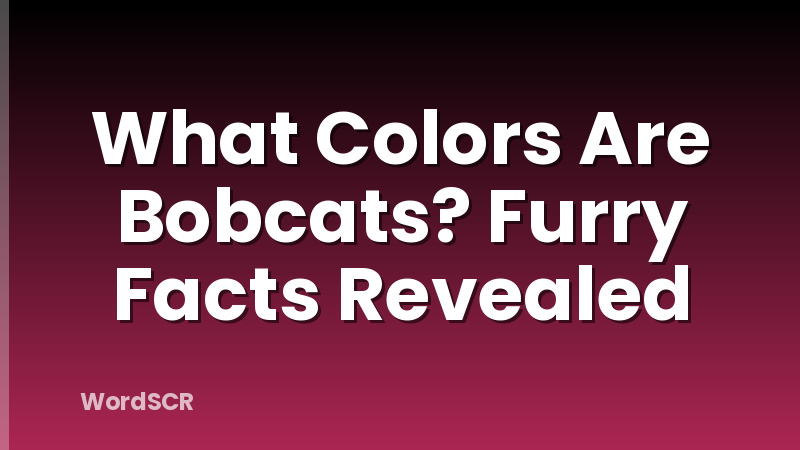 What Colors Are Bobcats? Furry Facts Revealed | WordSCR