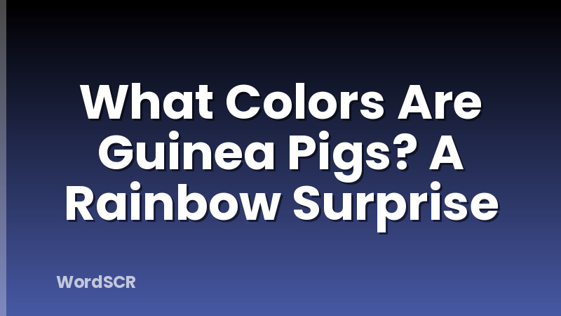 What Colors Are Guinea Pigs? A Rainbow Surprise | WordSCR