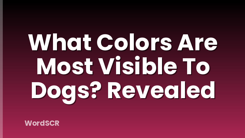 What Colors Are Most Visible To Dogs? Revealed | WordSCR
