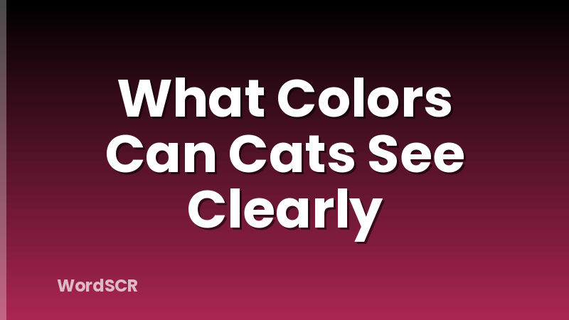 What Colors Can Cats See Clearly | WordSCR