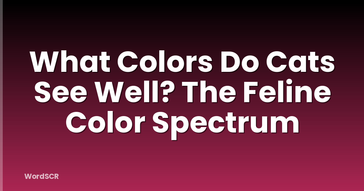 What Are Colors That Make You Happy? - A Colorful Guide | WordSCR
