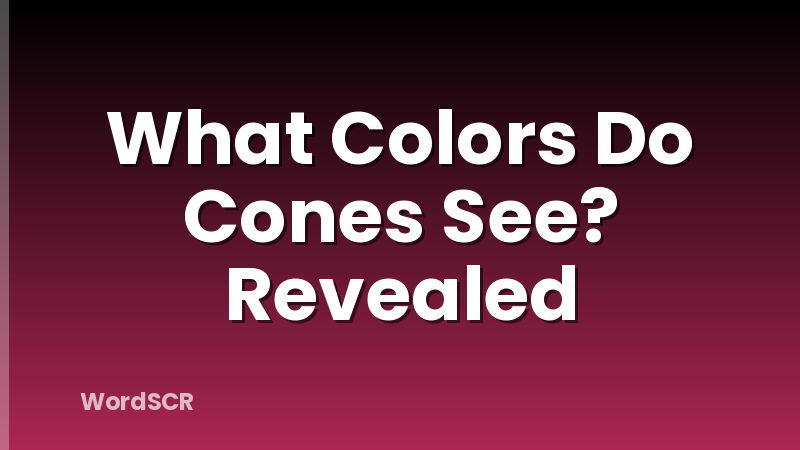 What Colors Do Cones See? Revealed | WordSCR