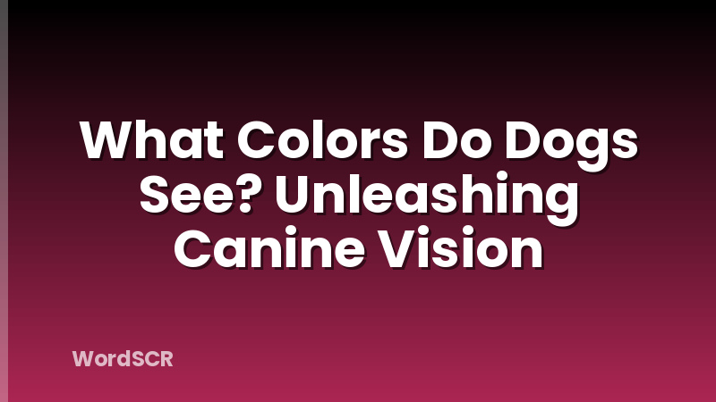 What Colors Do Dogs See? Unleashing Canine Vision | WordSCR