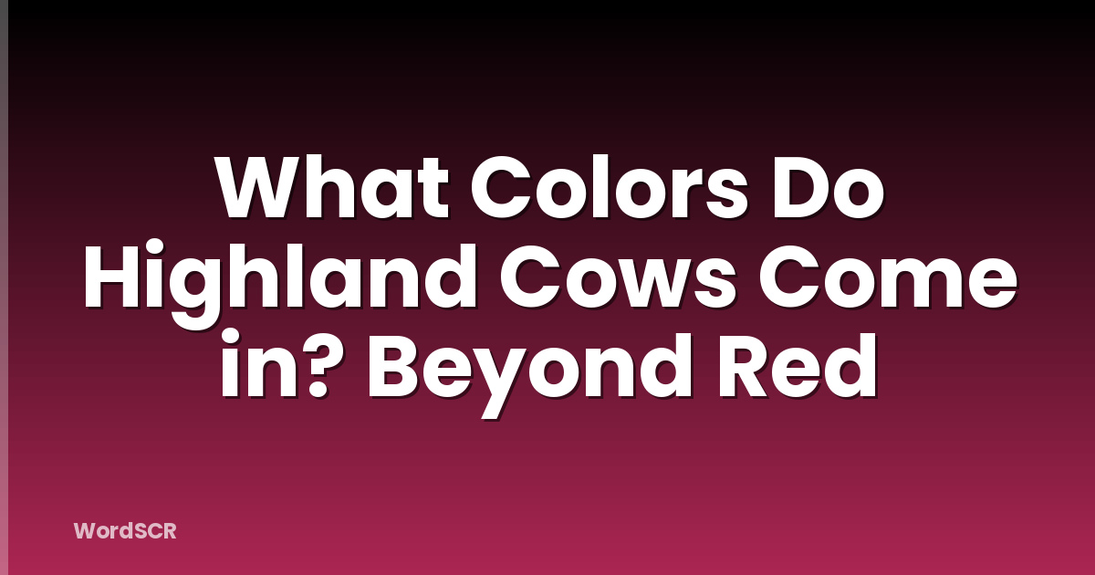 What Colors Do Highland Cows Come In? Beyond Red | WordSCR