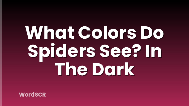 What Colors Do Spiders See? In The Dark | WordSCR