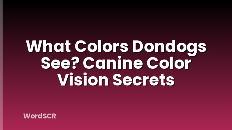 What Colors Dondogs See? Canine Color Vision Secrets | WordSCR
