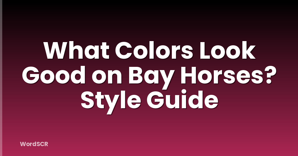 What Colors Look Good On Bay Horses? Style Guide | WordSCR