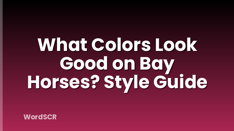 What Colors Look Good On Bay Horses? Style Guide | WordSCR