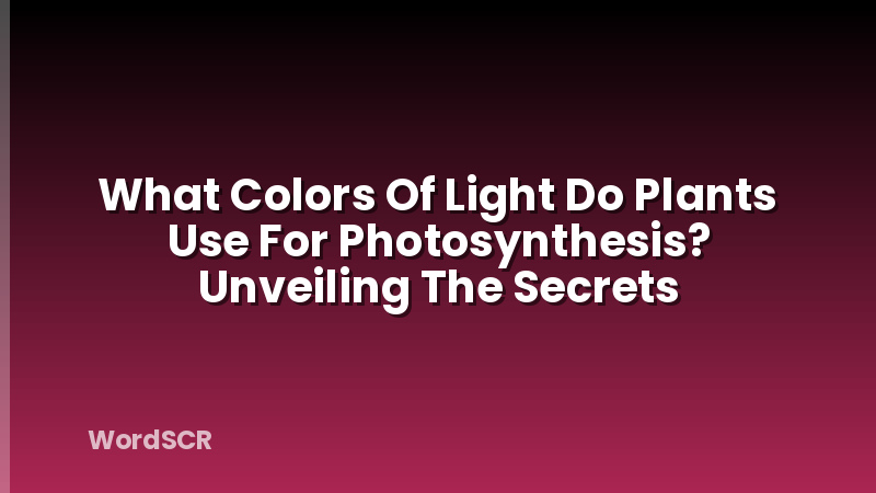 What Colors Of Light Do Plants Use For Photosynthesis? Unveiling The ...