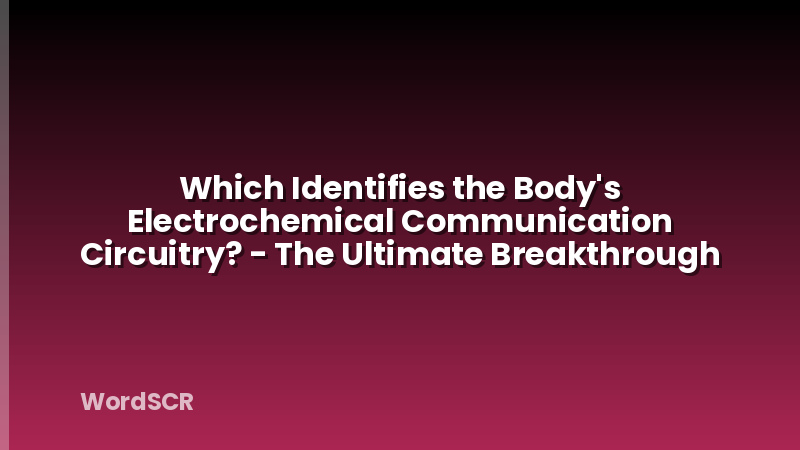 Which Identifies The Body's Electrochemical Communication Circuitry ...