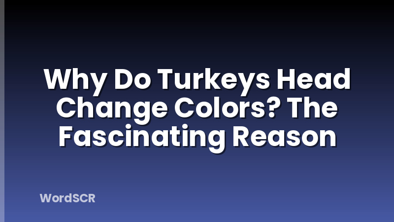 Why Do Turkeys Head Change Colors? The Fascinating Reason | WordSCR